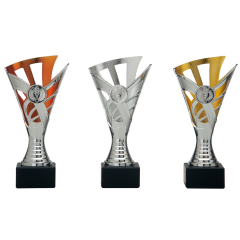 Unieke trofeeën - Personalisatie door Trofee.be