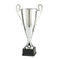 Unieke trofeeën - Personalisatie door Trofee.be