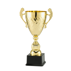 Unieke trofeeën - Personalisatie door Trofee.be