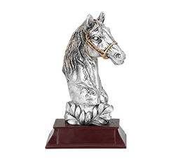 Unieke Trofee, awards, & medailles - Personalisatie door Trofee.be