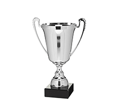 Unieke Trofee, awards, & medailles - Personalisatie door Trofee.be